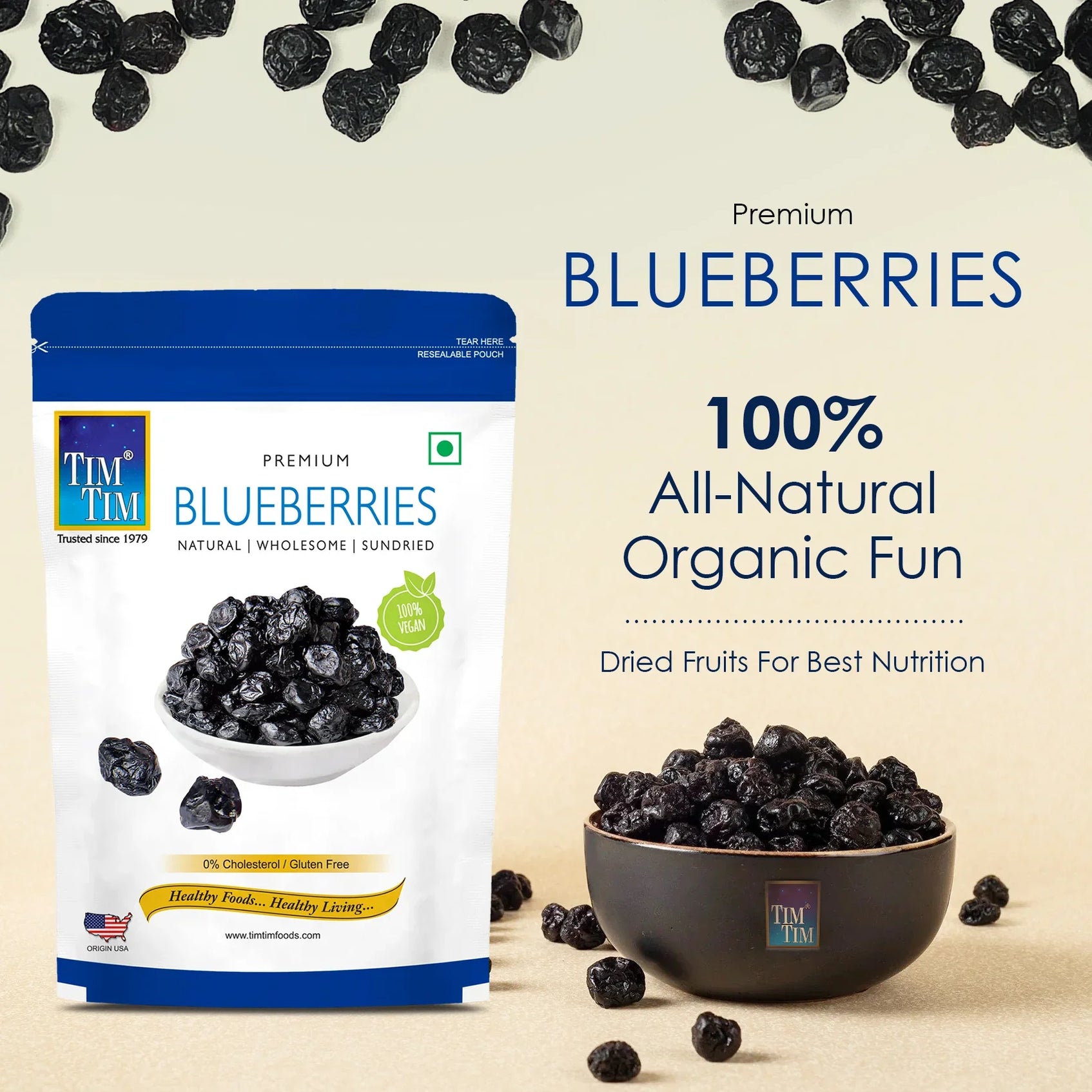 Premium Dried Blueberries | Premium Quality — TimTimFoods