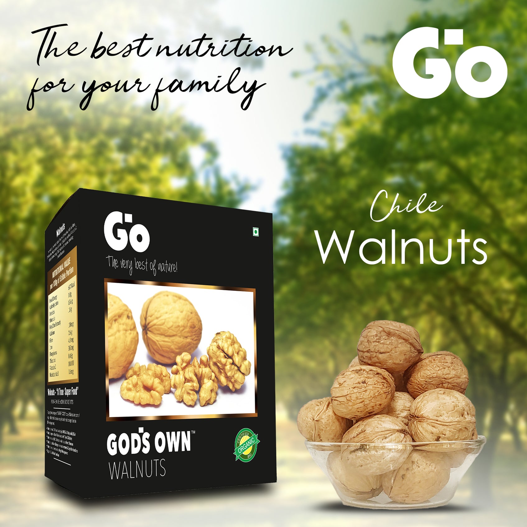 Go Chile Inshell Walnuts 1 kg | Super Kagzi Walnuts — TimTimFoods