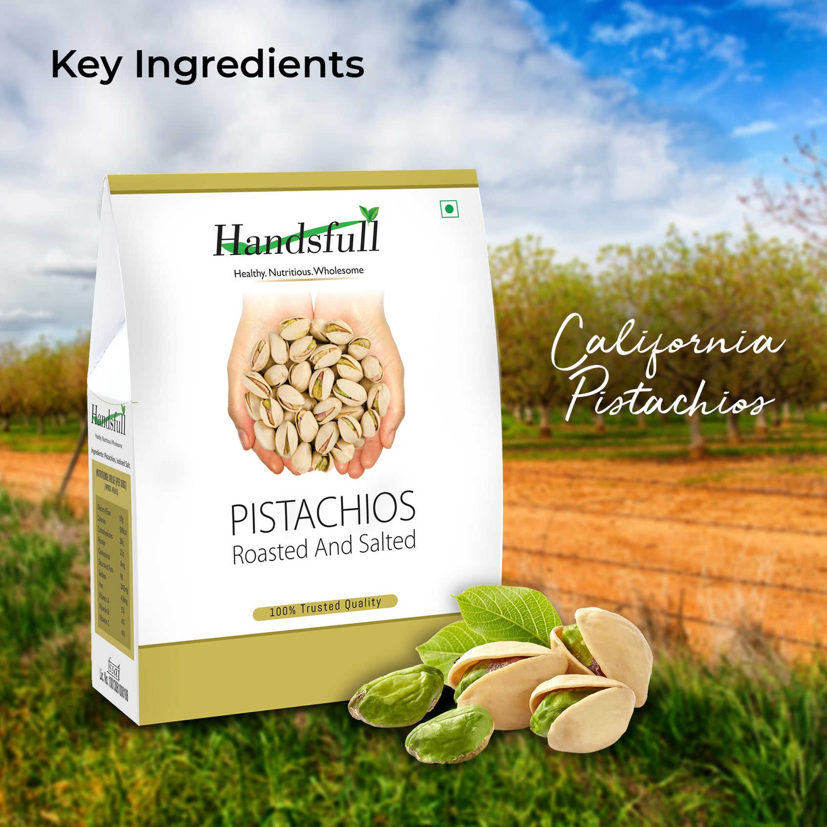 Handsfull Roasted and Salated Pistachios | Pista Nuts — TimTimFoods